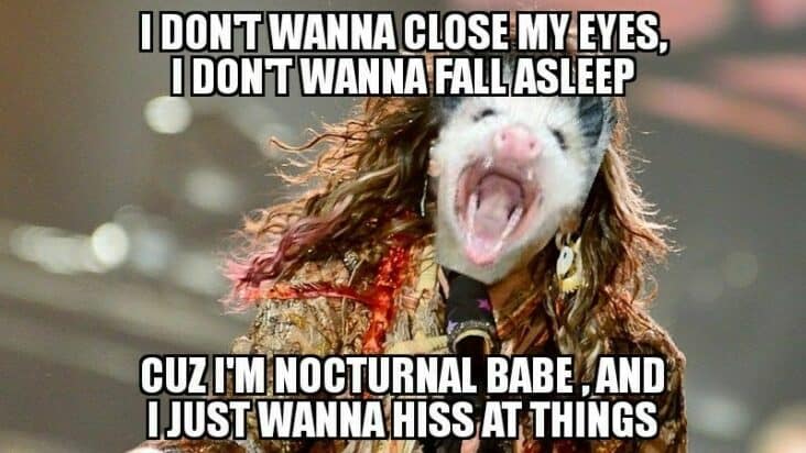 45 Funny Music Memes That Hit All The Right Notes
