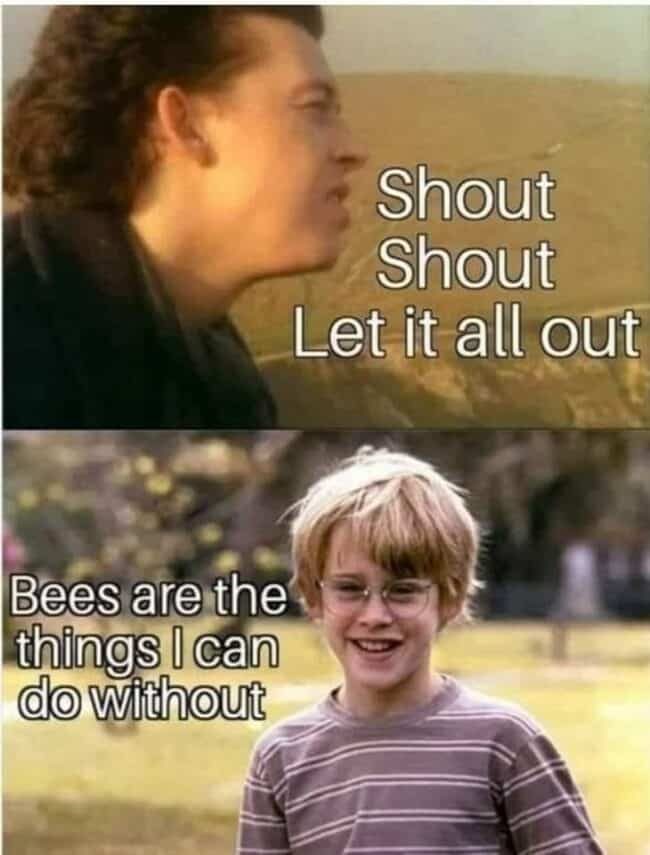 45 Funny Music Memes That Hit All The Right Notes