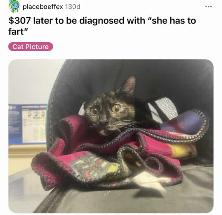 40 Of The Funniest Pictures From The Depths Of Reddit This Week