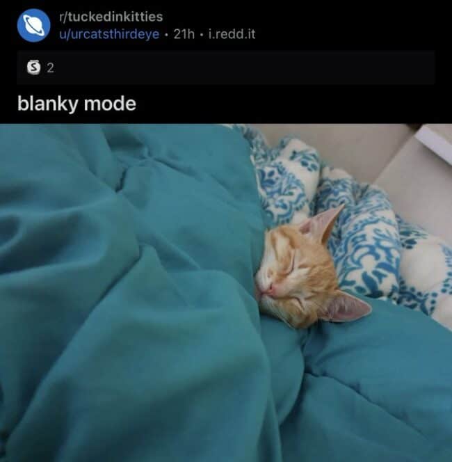 40 Funniest Pictures From The Depths Of Reddit This Week (November 26 ...