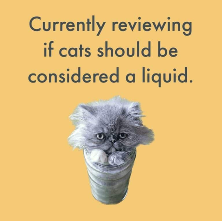 30 Funniest TSA Memes To Look At While Waiting In The Security Line