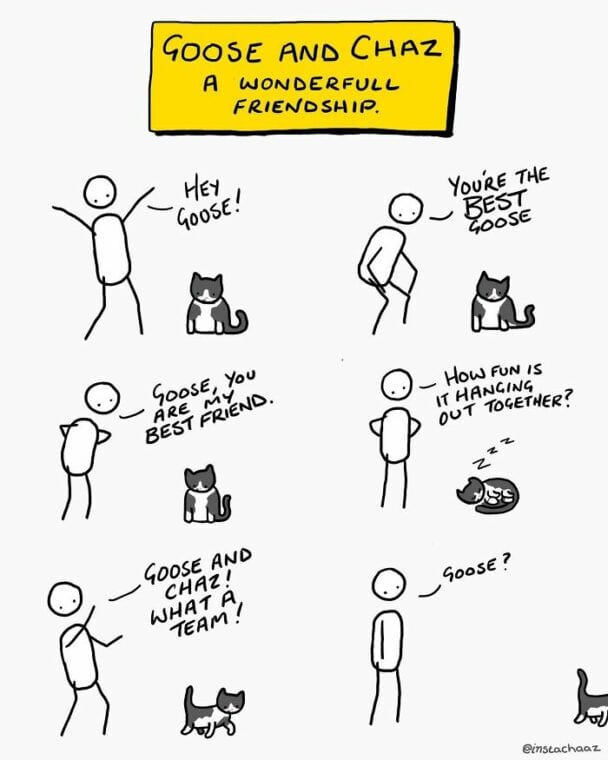 45 Funny Comics About The World Around Us From Witty Illustrator Chaz ...