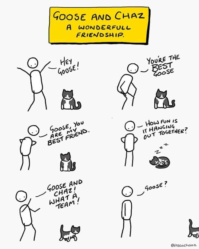 45 Funny Comics About The World Around Us From Witty Illustrator Chaz ...