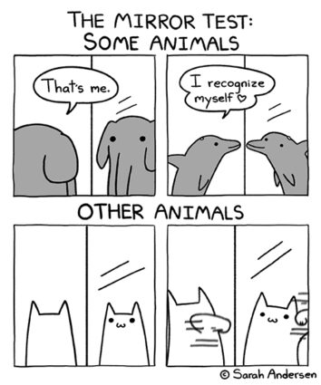 35 Funny Comics With A Spooky Wholesome Vibe From Sarah Andersen