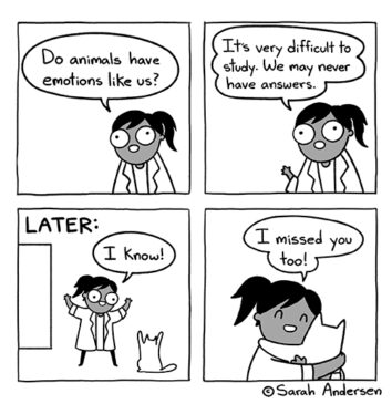 35 Funny Comics With A Spooky Wholesome Vibe From Sarah Andersen