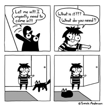 35 Funny Comics With A Spooky Wholesome Vibe From Sarah Andersen