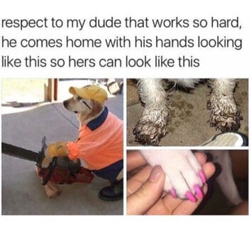 40 Funny Construction Worker Memes That Are A Blueprint For Laughs