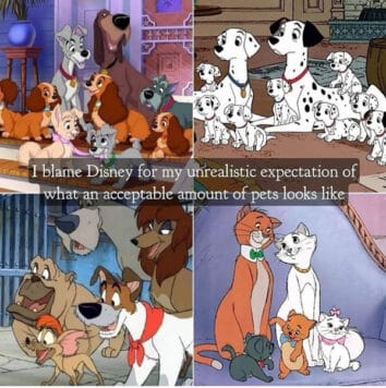 45 Whimsically Funny Disney Memes To Make Your Day Enchanting
