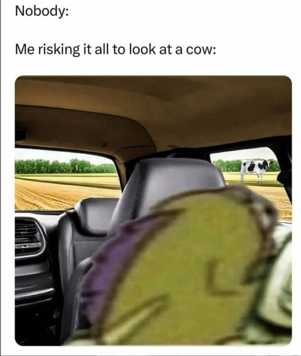 33 Hilarious Driving Memes For Everyone Laughing In The Fast Lane