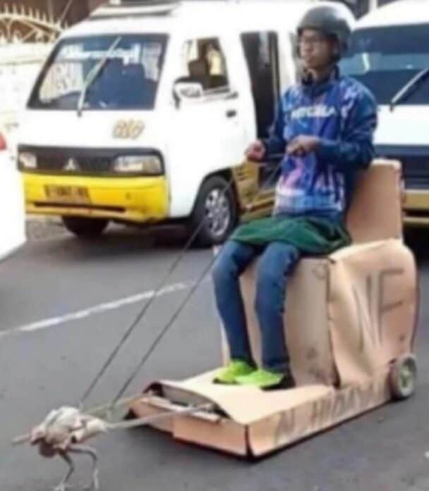 33 Hilarious Driving Memes For Everyone Laughing In The Fast Lane