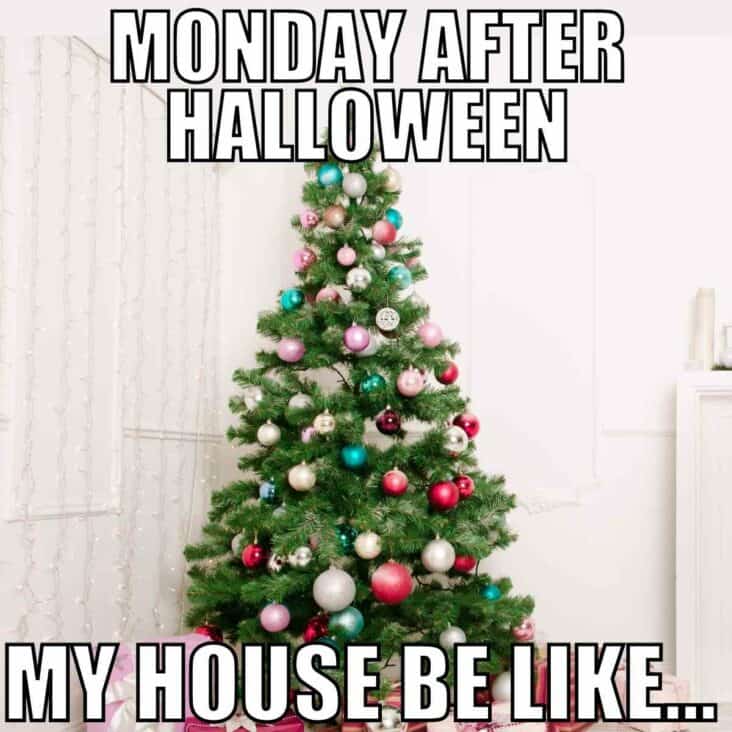 "It's Never Too Early For Christmas" — 30 Funny Christmas Memes For Jolly Folks Who Can't Wait