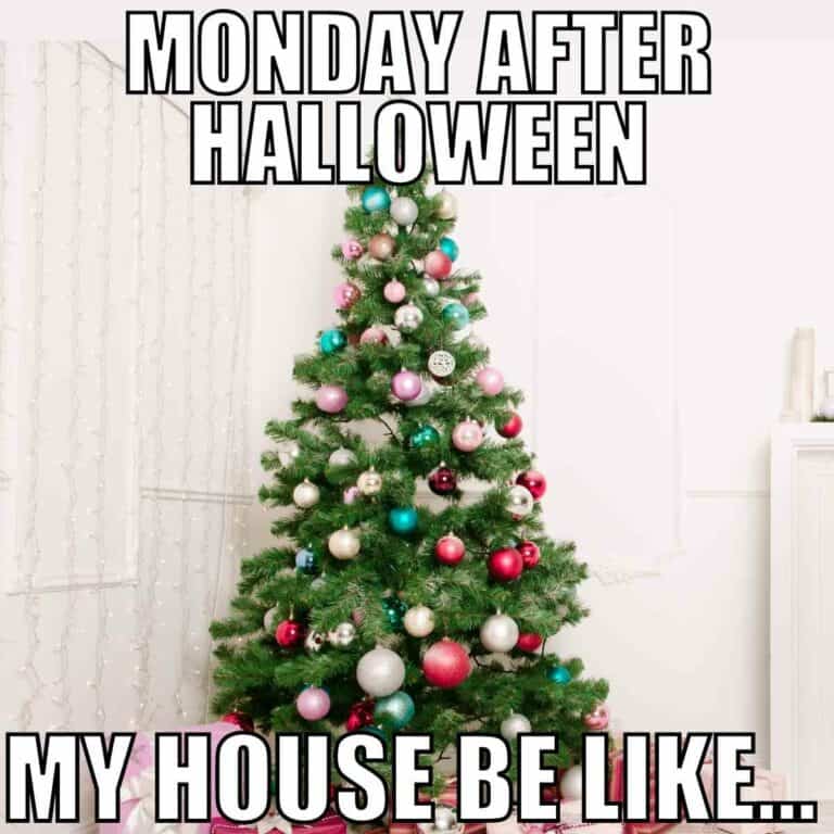 "It's Never Too Early For Christmas" — 30 Funny Christmas Memes For ...