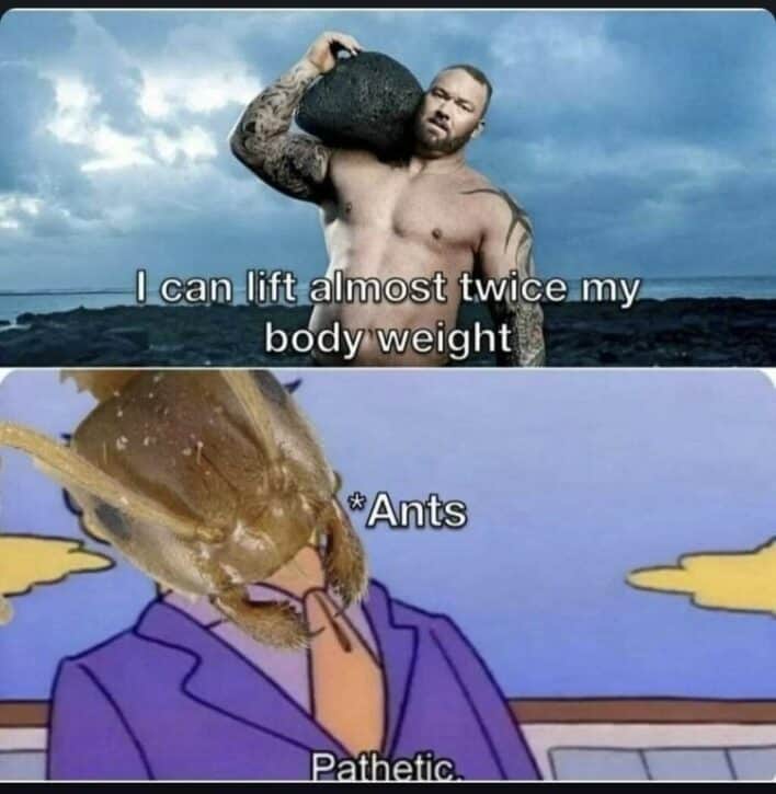 45 Funny Exercise Memes Hit Harder Than Leg Day