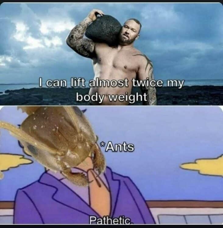 45 Funny Exercise Memes Hit Harder Than Leg Day