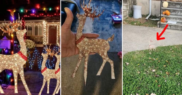 45 Times Reality Took Expectations And Threw Them Out The Window