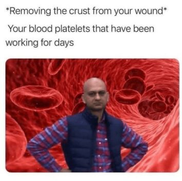 40 Funny Memes For Science Nerds Who Know Their Way Around A Beaker