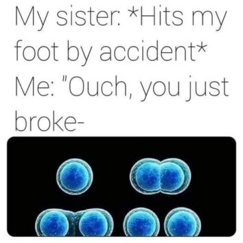 40 Funny Memes For Science Nerds Who Know Their Way Around A Beaker