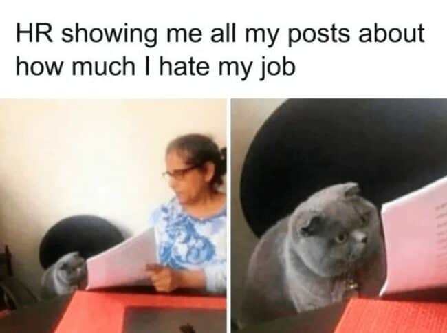 36 Funny Memes About Unemployment For Job Seekers Tired Of Sending Resumés