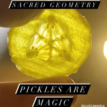 35 Funny Pickle Memes To Get You In A Briny Good Mood