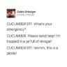 35 Funny Pickle Memes To Get You In A Briny Good Mood