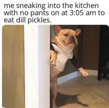 35 Funny Pickle Memes To Get You In A Briny Good Mood