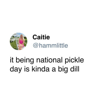 35 Funny Pickle Memes To Get You In A Briny Good Mood