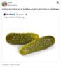 35 Funny Pickle Memes To Get You In A Briny Good Mood