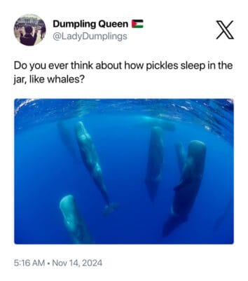 35 Funny Pickle Memes To Get You In A Briny Good Mood