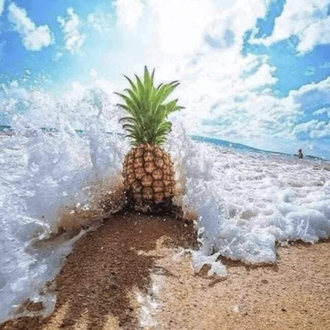 35 Funny Pictures That Go Extremely Hard With Zero Context