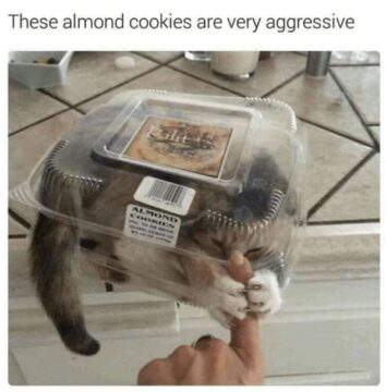 43 Funny Pictures To Kickstart Your Day With A Laugh