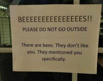 40 Funny Pictures To Get You Through The Slowest Work Week Ever