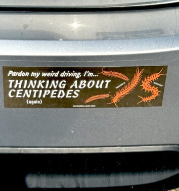 45 Funny Pictures To Help You Survive The Post-Thanksgiving Slump ...