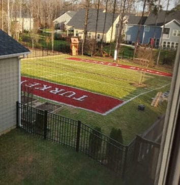 45 Funny Pictures To Help You Survive The Post-Thanksgiving Slump ...