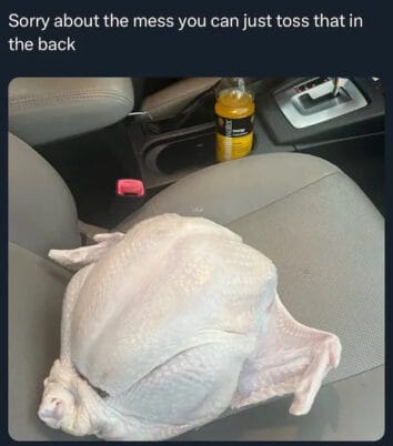 45 Funny Pictures To Help You Survive The Post-Thanksgiving Slump ...