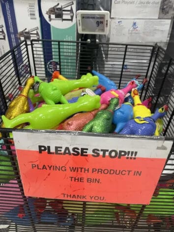 45 Funny Pictures To Help You Survive The Post-Thanksgiving Slump ...