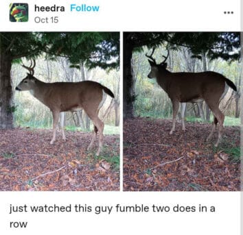 40 Funny Pictures To Help You Survive The Morning Grind
