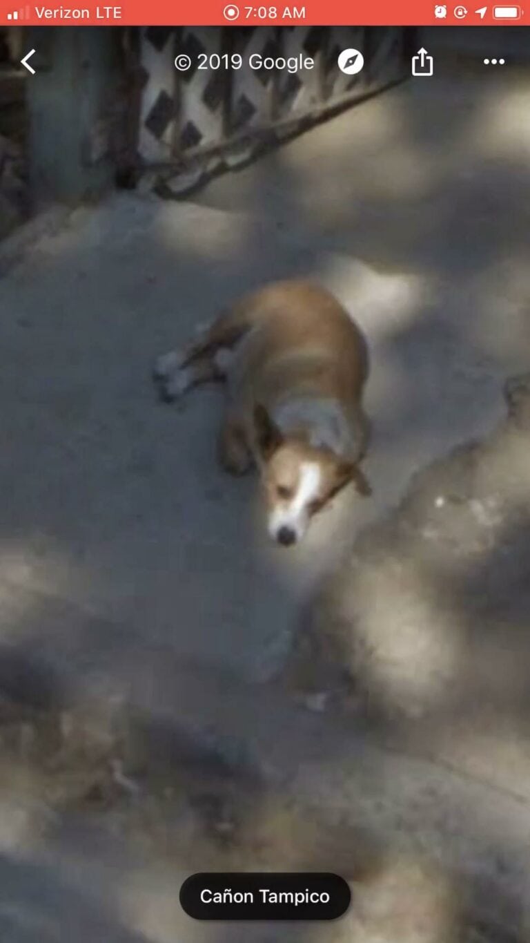 38 Funny Pictures From Google Maps And The Hilarious Weirdos Using it