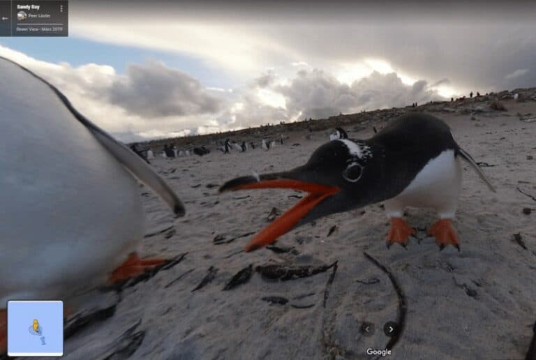 38 Funny Pictures From Google Maps And The Hilarious Weirdos Using it