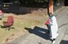 38 Funny Pictures From Google Maps And The Hilarious Weirdos Using it