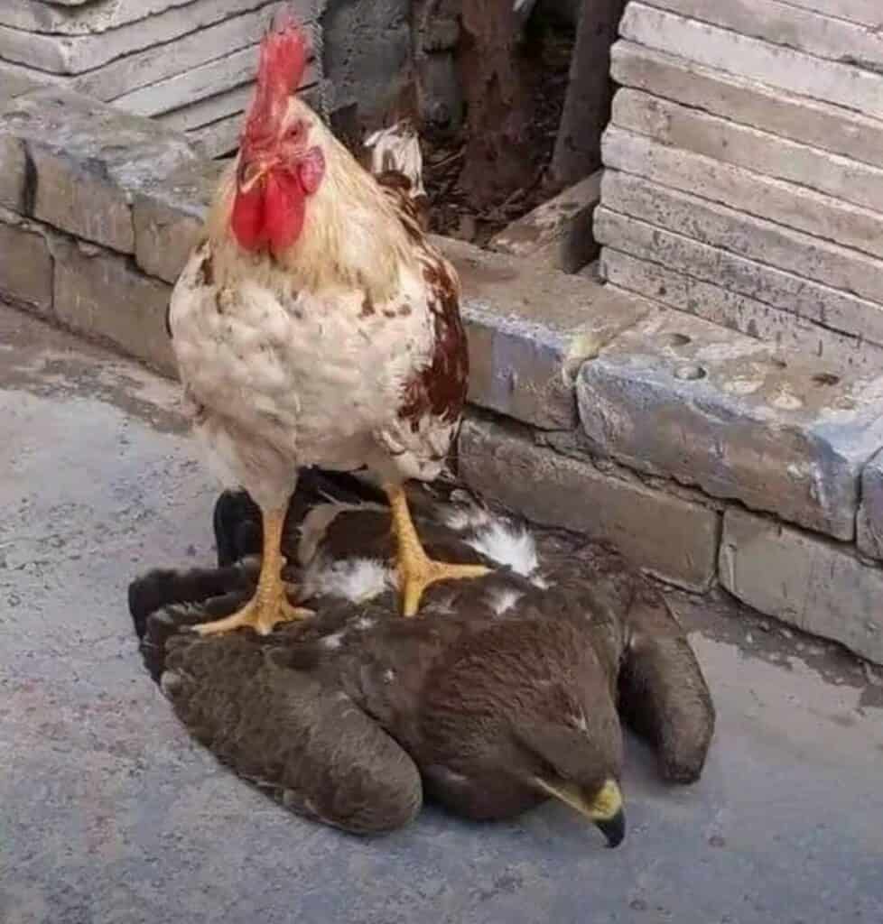 40 Funny Pictures That'll Make You Say "Hmmm" Because There's Really No ...