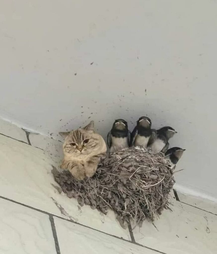 40 Funny Pictures That'll Make You Say "Hmmm" Because There's Really No ...