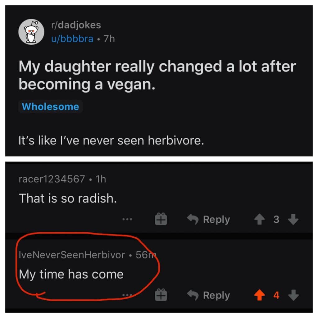 45 Funny Pictures Of Times Usernames Checked Out In The Comments