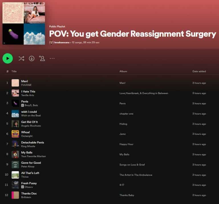 35 Funny Pictures Of Weird Spotify Playlists We Hope Are Just A Joke