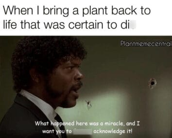 25 Funny Pulp Fiction Memes That Deserve A Royale With Cheese