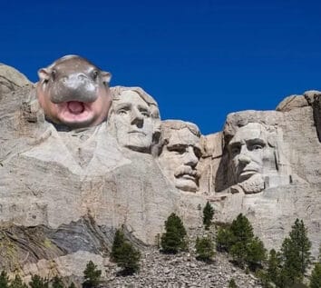 50 Funny And/Or Random Pictures To Fuel Your Weekend Laughter