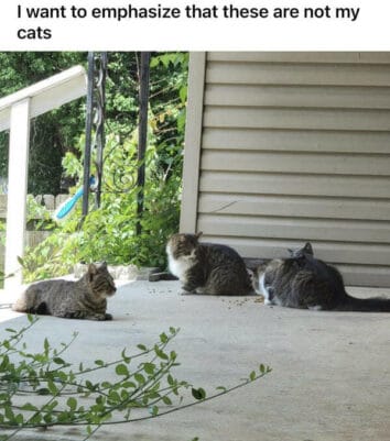 50 Funny And/Or Random Pictures To Fuel Your Weekend Laughter