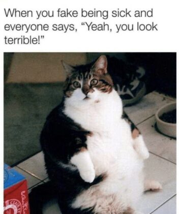 30 Funny Memes About Being Sick To Help You Feel A Little Less Blah