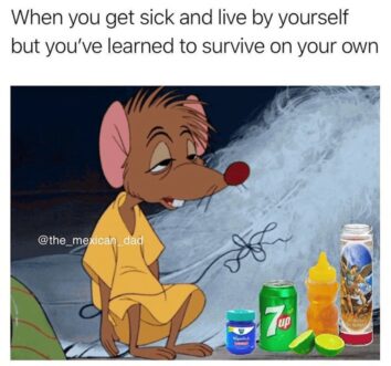 30 Funny Memes About Being Sick To Help You Feel A Little Less Blah