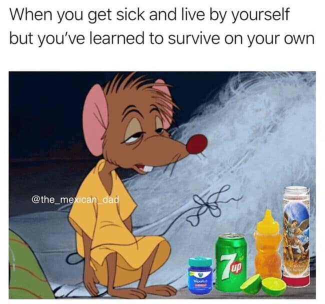 30 Funny Memes About Being Sick To Help You Feel A Little Less Blah