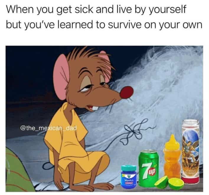 30 Funny Memes About Being Sick To Help You Feel A Little Less Blah